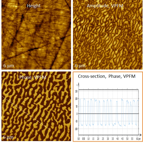 Piezoresponse Force Microscopy by Sergei Magonov | Blog – NANOSENSORS ...