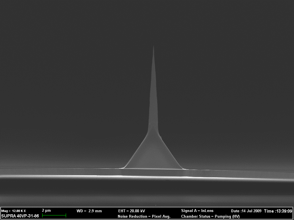 Spike up a Silicon Nitride AFM tip for high topography biology and life ...