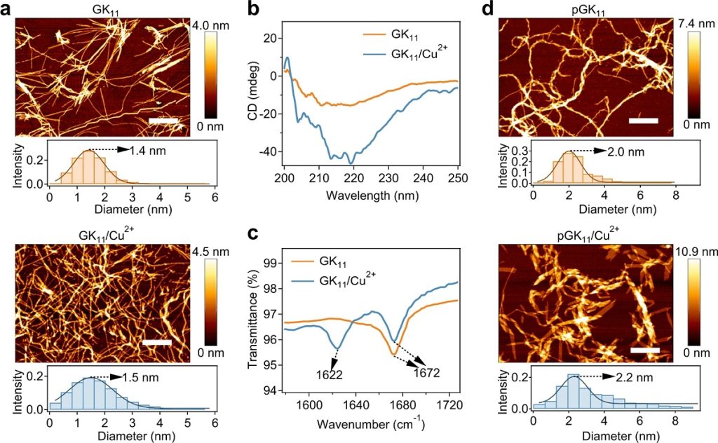 Strong, tough, rapid-recovery, and fatigue-resistant hydrogels made of ...