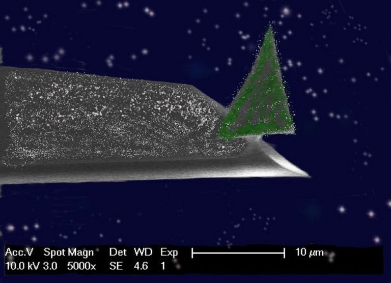 Happy Holidays from NANOSENSORS AFM probes – Blog - NANOSENSORS™ - R&D ...