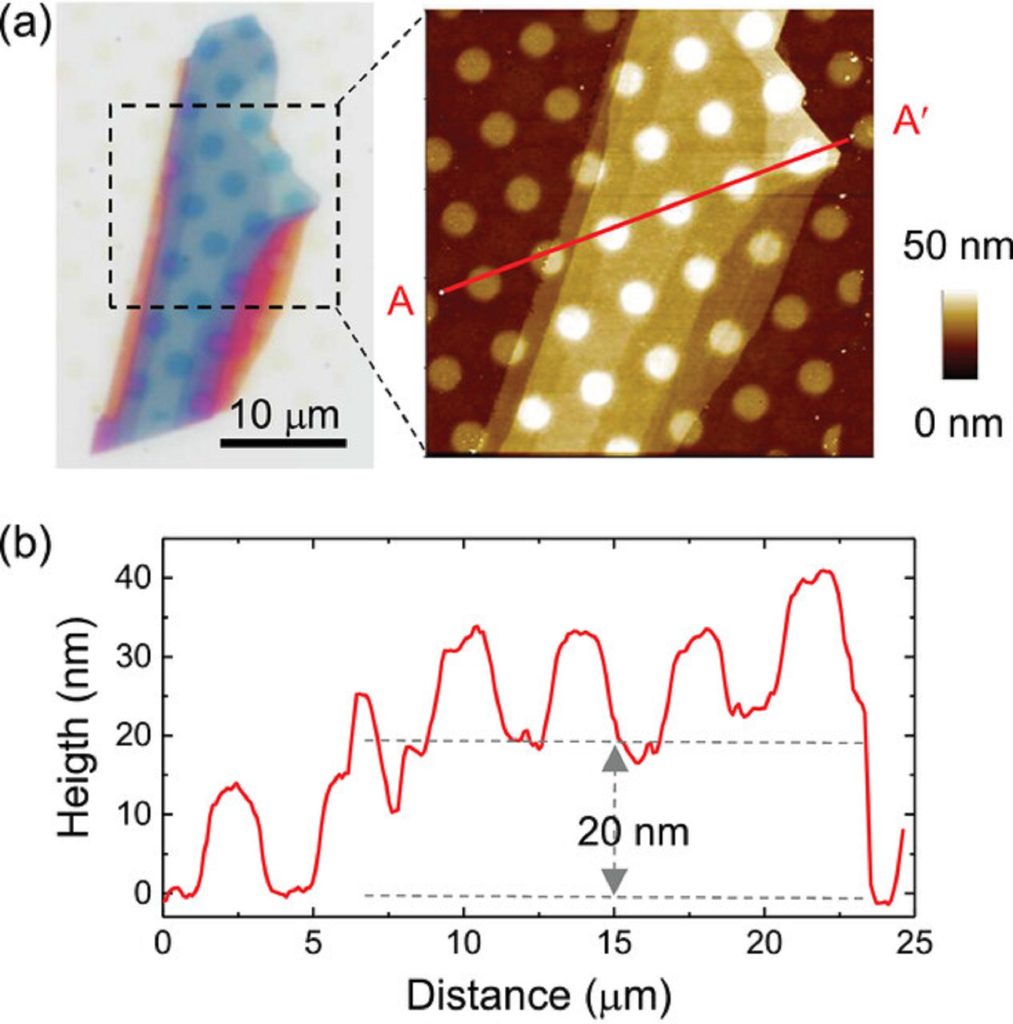 High-Performance and Lithography-Free Au/WS2/Ag Vertical Schottky ...