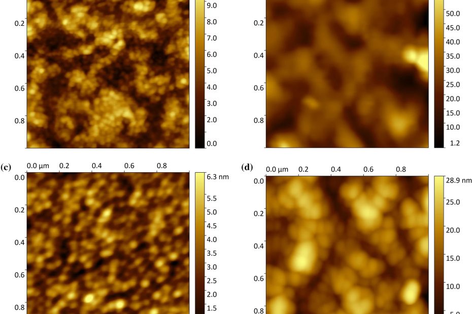 May 2024 – Blog - NANOSENSORS™ - R&D Leaders in AFM Probes Since 1990